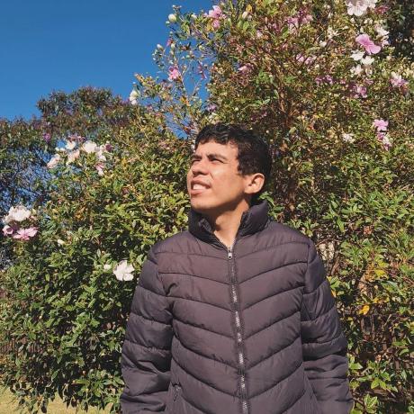 Samuelfilho Dev Samuel Marques Github