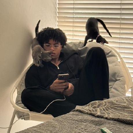 Marcelckp Marcel Palmer Github