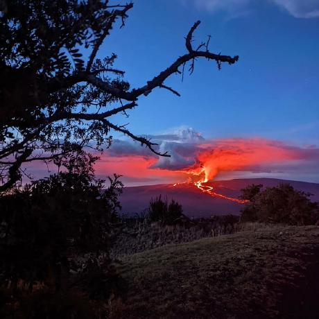 Gbridge Fish Geobridge Github