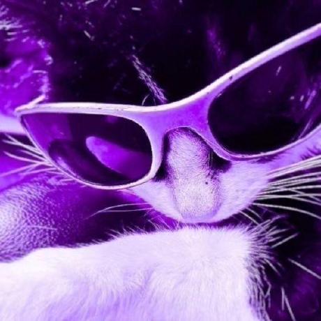 Github Masonoderso Oderso Data Data For Oderso Client