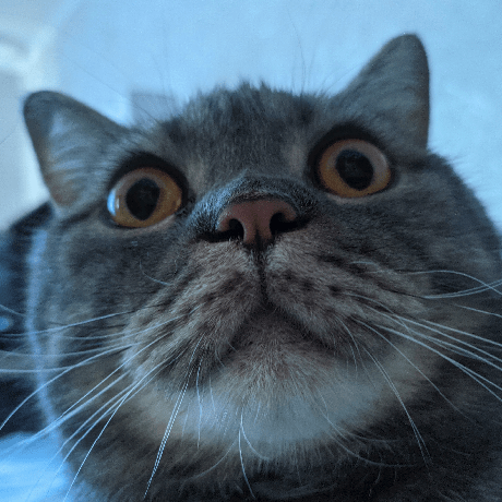 Python Destroyer Github