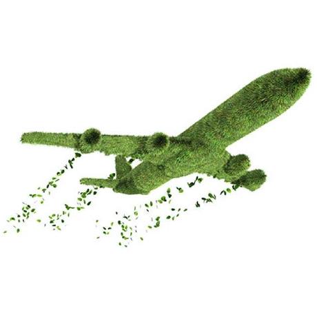 Friendly Flyer Github