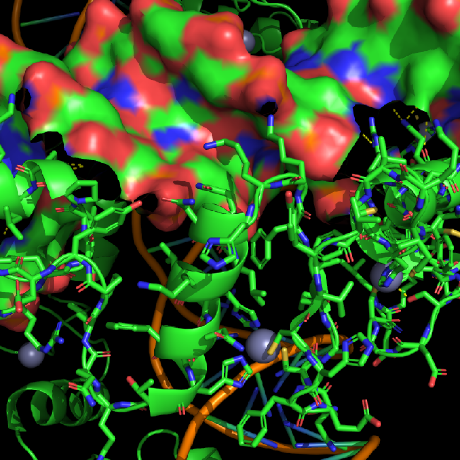 Giovannimerici Giovanni Merici Github