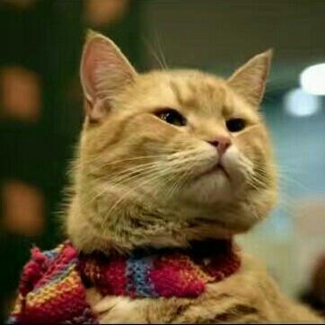 Im Pingo Pingos Github