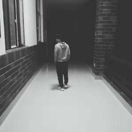 Wangzhen Ing Z Wang Github