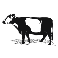 Github Uwcartlab Webmapping Final Group - Amazing Nature Pattern - Retina