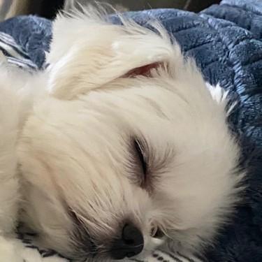 Github Kongms002 Csh Gpt 4 - Space Art Collection - HD Quality