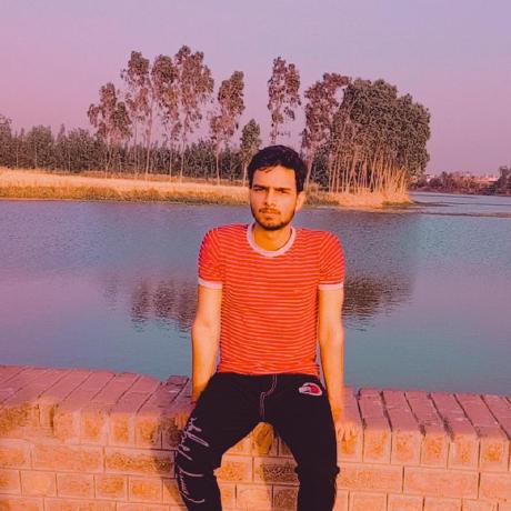 Sauravranapng Saurav Github