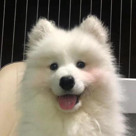 Panmuyun Panmuyun Repositories Github