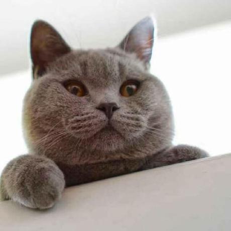 Yawiii 诶 阿伟哥 Github