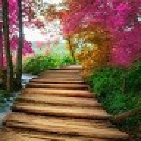 Rameesha18 Rameesha Mehmood Github