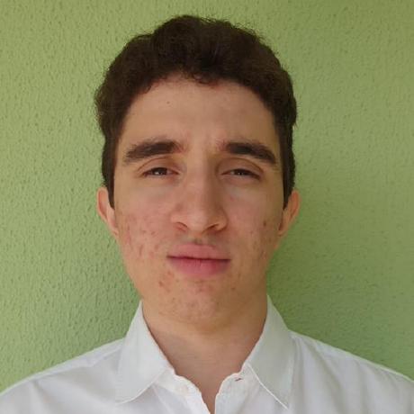 Guilherme Stein Github
