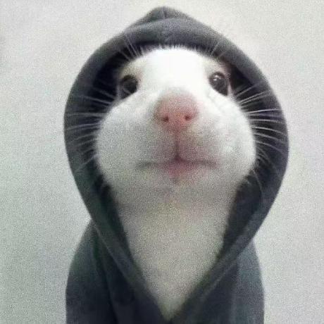 Daibo Baby Daibo Github