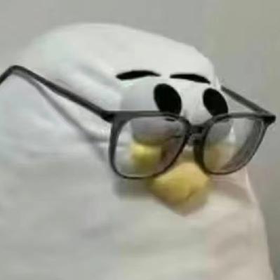 Zherenz Zheren Zhu Github