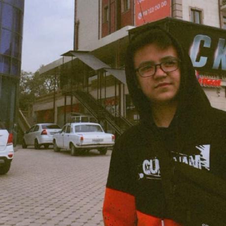 Max Web Developer Github