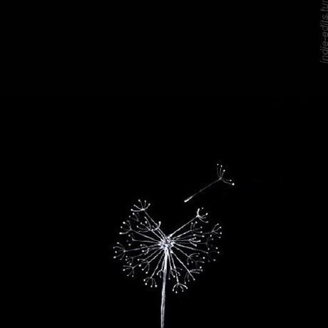 Lakshmi S Nair Lakshmi S Nair Github