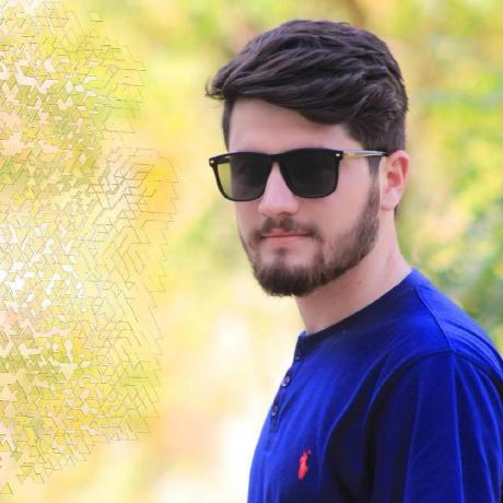 Salman Aly Salman Aly Github