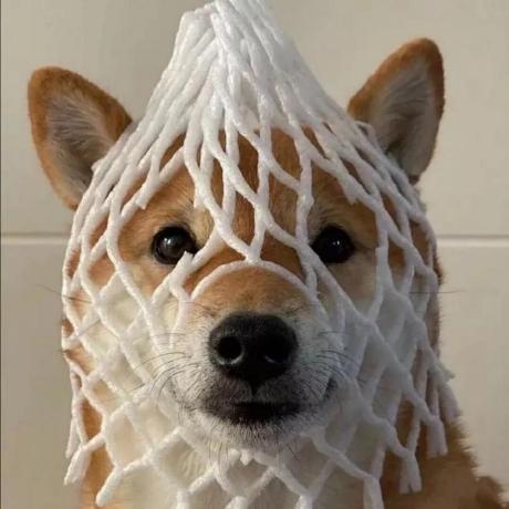 Kebinnnn Kebin Github