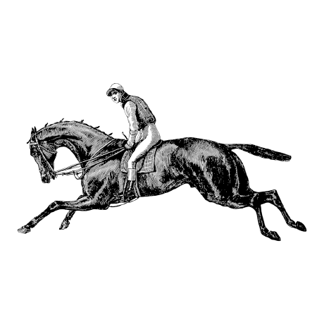 Ml Horse Racing Github