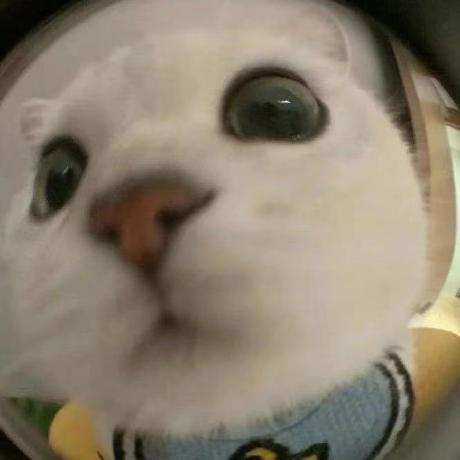 Wangxs404 Axis Wang Github