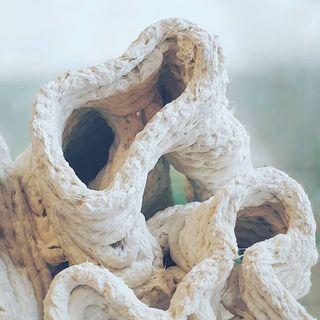 Biodigital Matter Lab Github - Download Professional Sunset Design | 8K