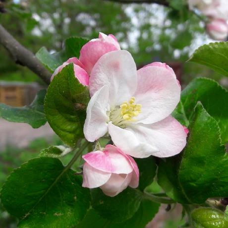 Christineschmitz Christine Schmitz Github