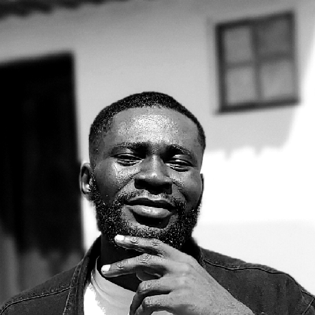 Enyasystem Enya Elvis Github