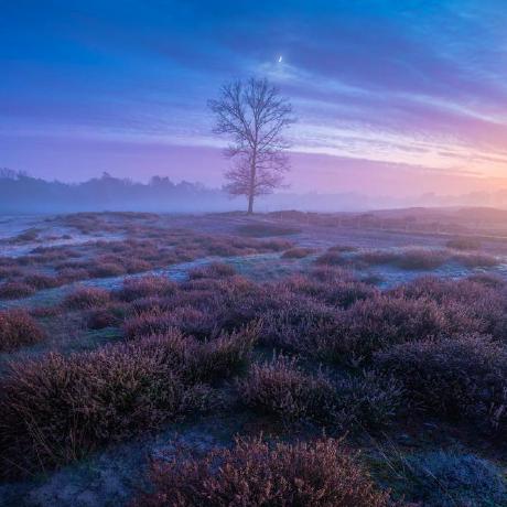 Madebydoru Doru Github