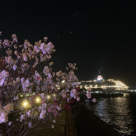 Tomoki Shirai210 Tomoki Shirai Github