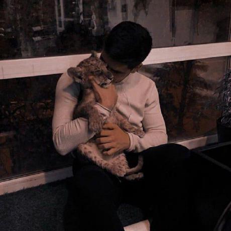 Sponsor Noob Rohit On Github Sponsors Github