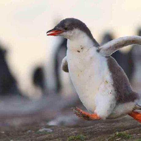 Lab123 Tech Labtech Github