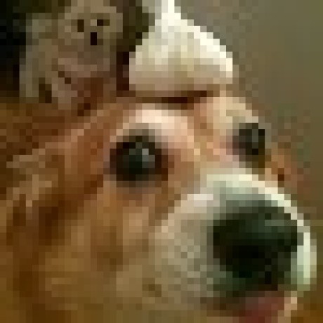 Kikoken831 Eek Kcirdnek Github