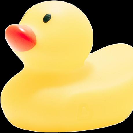 Programming Duck Github