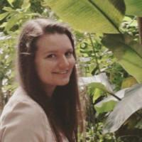 Fmca Celine Céline Github