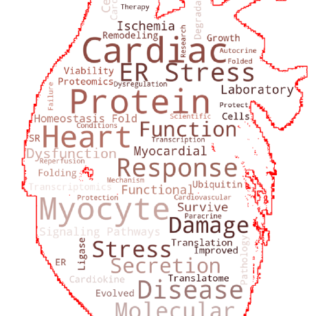 Doroudgar Lab Github