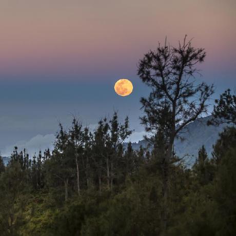 Jiayin Zhou Jiayinzhou Github