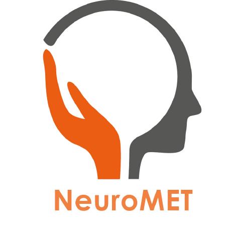 Neuromet Github