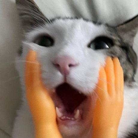 Justandr3h Andre Github