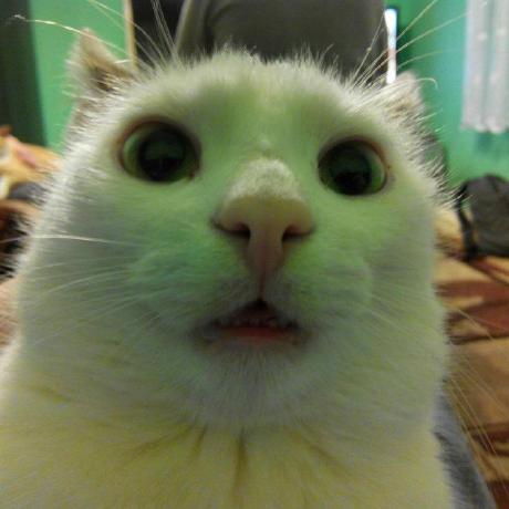 Milkyflake Milky Github