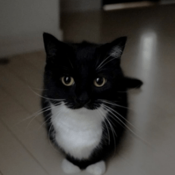 Github Infyiff Backup - HD Space Wallpapers for Desktop