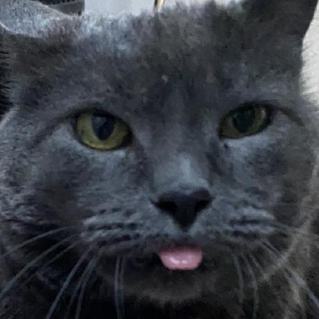 Evan Gattis Evan Gattis Github