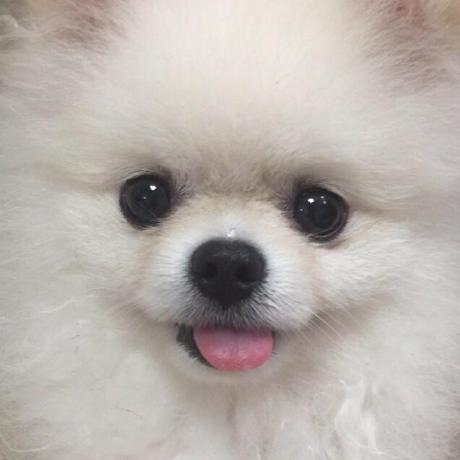 Junion Park Junion Github - Gradient Picture Collection - 4K Quality