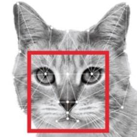 Github Kimkyeongyong Visual Cpp Image Processing Visual C - Retina Sunset Arts for Desktop