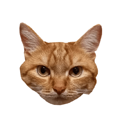 Madcat9958 Mad Cat Github