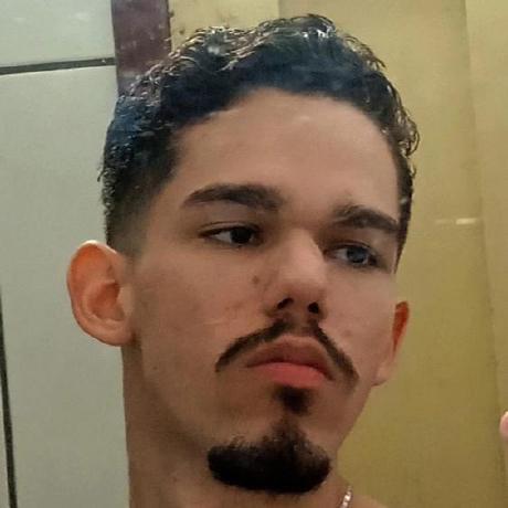 Paulohenrif Paulo Henrif Github