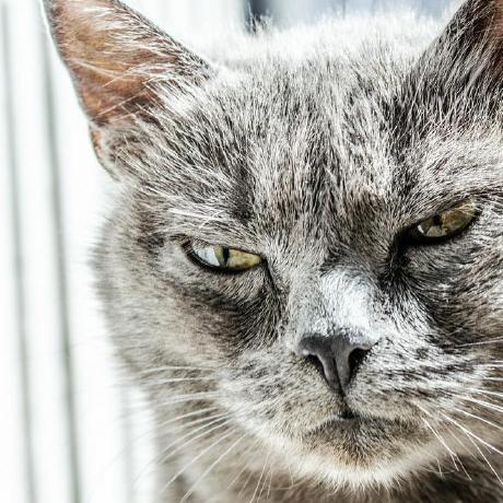 Vectorm2 Mathabela Victor Github