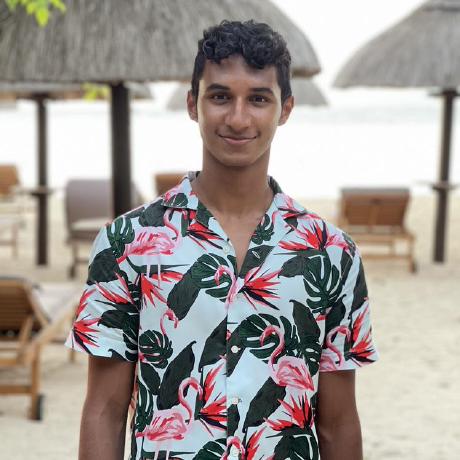 Flamingo Programmer Github