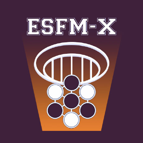 Esfm X Esfm X Github