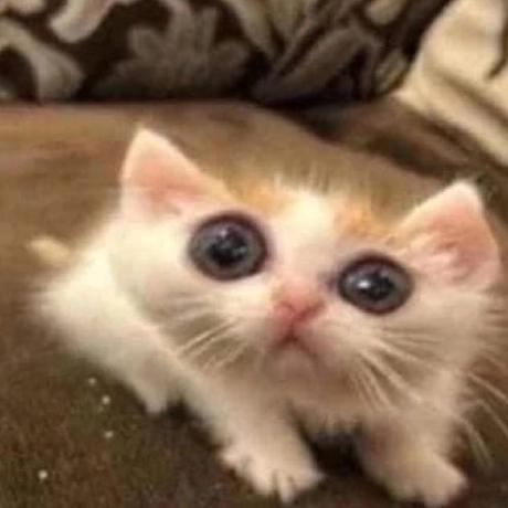 Crabthehermit Crab Github