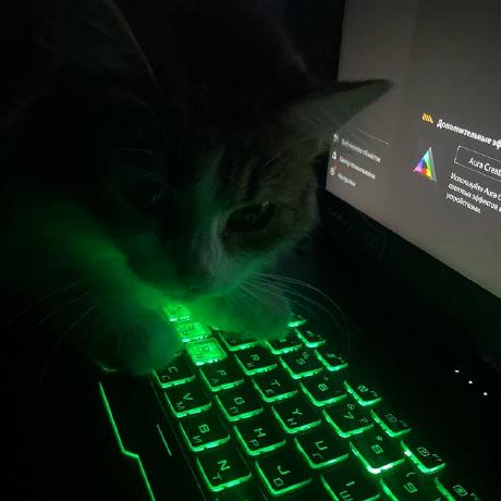 Rin Boro Ekaterina Borodinova Github